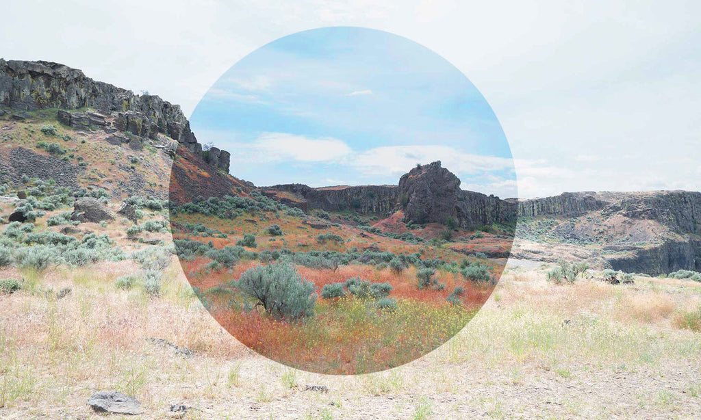 Custom AMP Nova Mirror Prescription Lens – Fuse Lenses