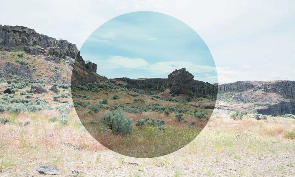 Custom Midnight Blue Mirror Prescription Lens – Fuse Lenses